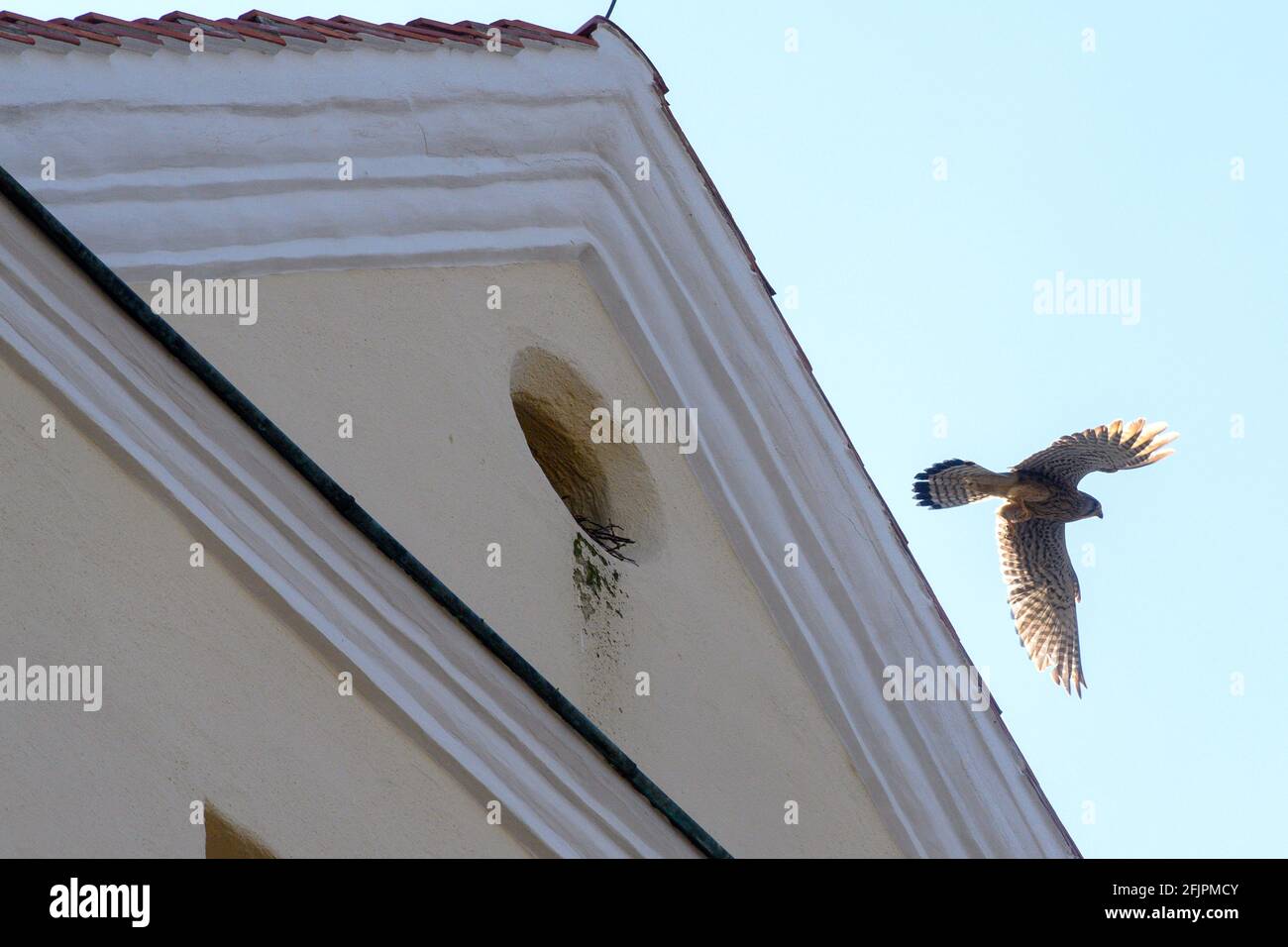 Anhalt kothen castle hi-res stock photography and images - Alamy