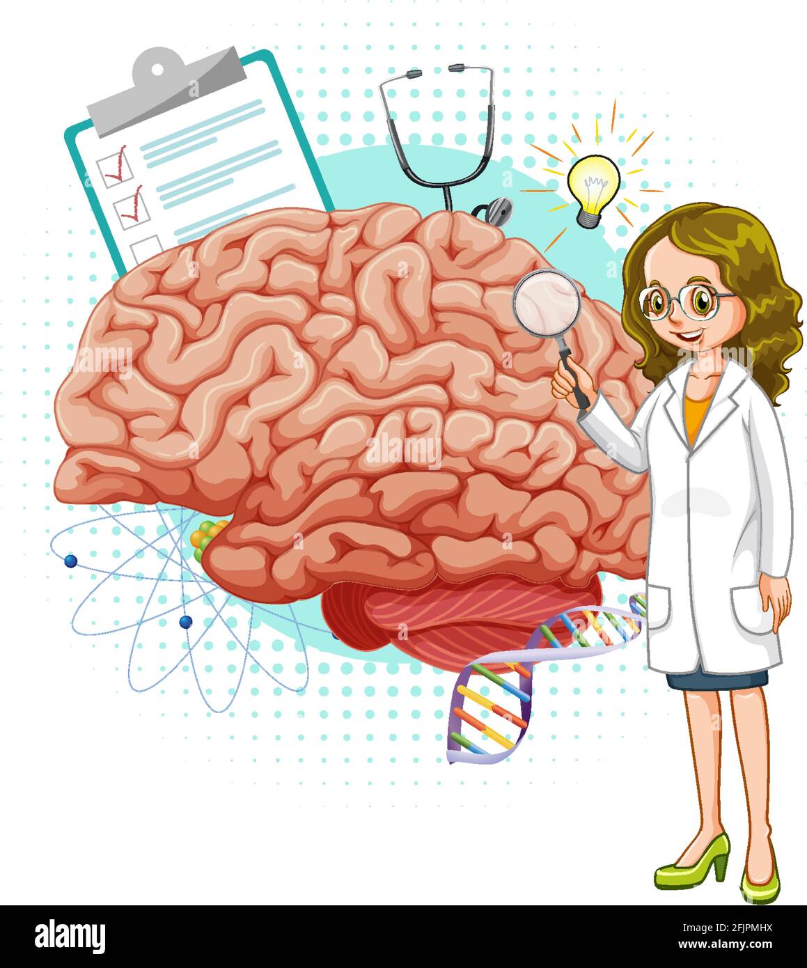 Doctor and brain on white background illustration Stock Vector Image ...