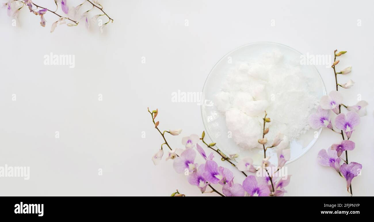 Cetyl esters wax in chemical watch glass. Chemical ingredient for ...