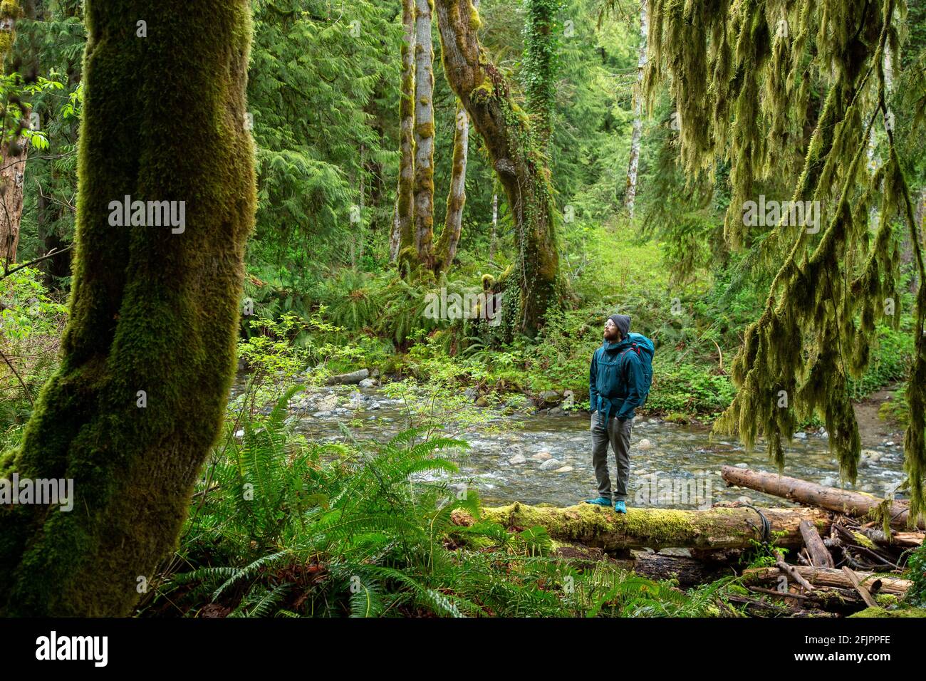 Ladysmith british columbia hi-res stock photography and images - Alamy