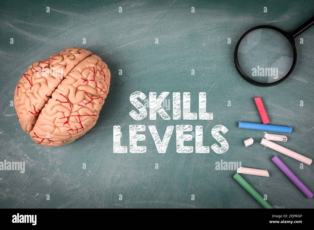 Skill Levels concept. Brain model, magnifying glass and colored chalks ...