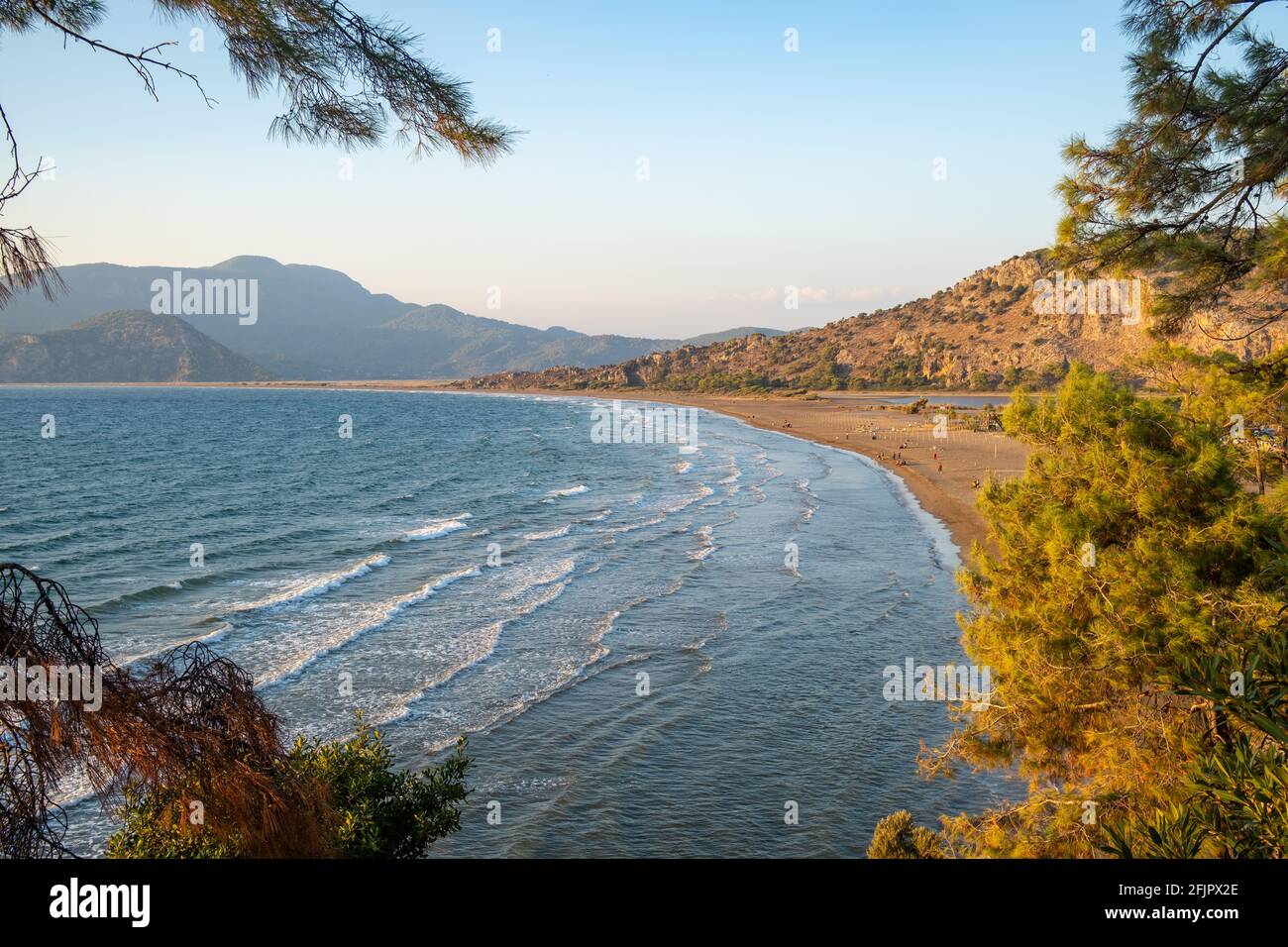 Turtle beach dalyan and turtle hi-res stock photography and images - Alamy