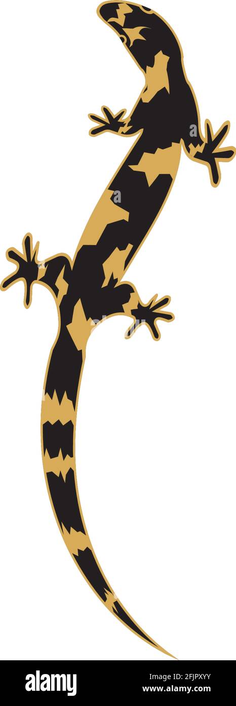 lizard vector icon logo and symbol Stock Vector Image & Art - Alamy