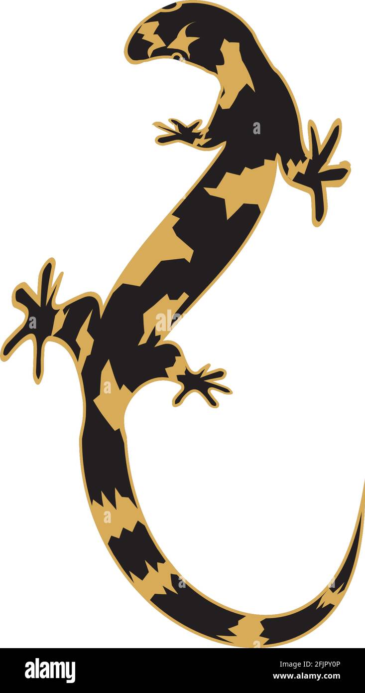 lizard vector icon logo and symbol Stock Vector Image & Art - Alamy