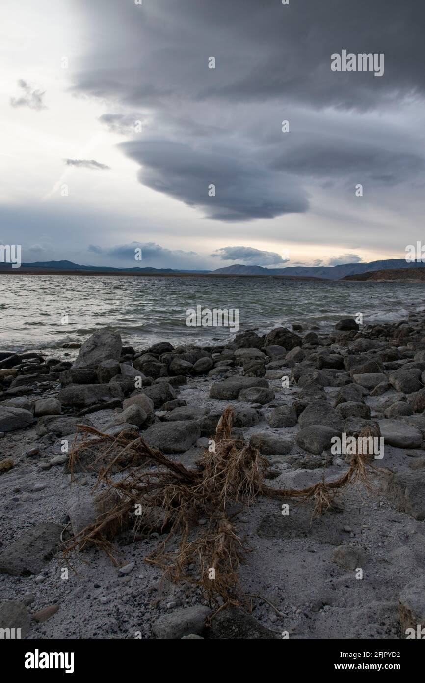 The Bishop Tuffs are also known as the Crowley Lake Columns in Mono ...