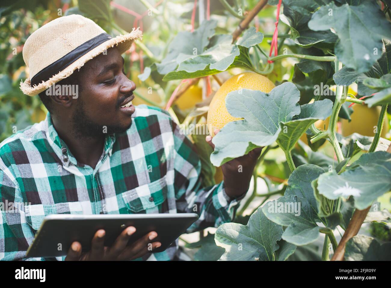 Smart farming africa hi-res stock photography and images - Alamy
