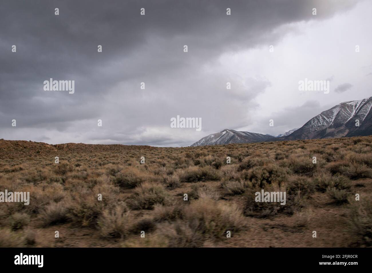 The Bishop Tuffs are also known as the Crowley Lake Columns in Mono ...