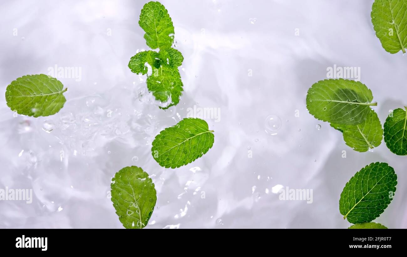 Mint leaves on the water surface with bubbles and splashes Stock Photo ...
