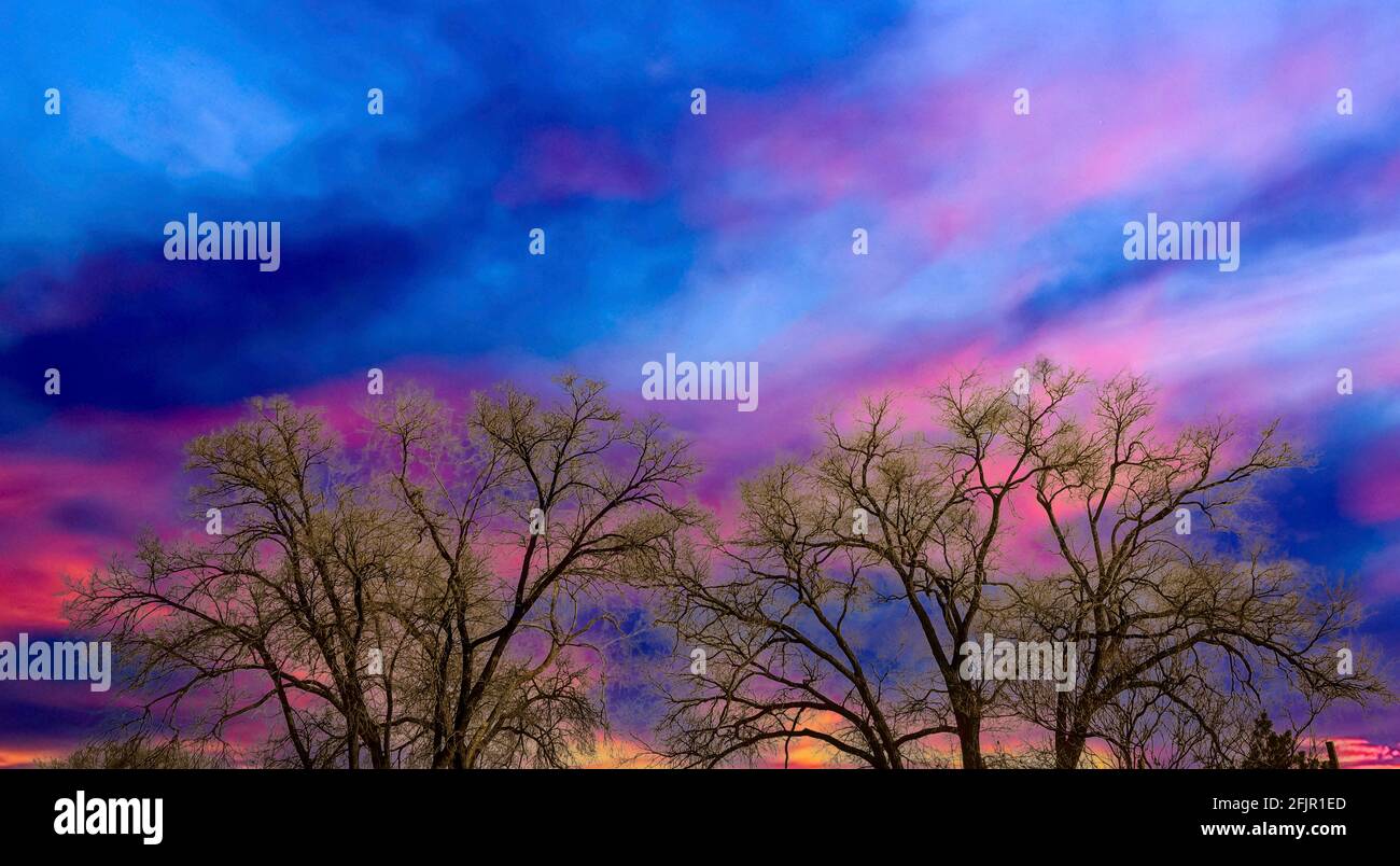 Reach high hi-res stock photography and images - Alamy