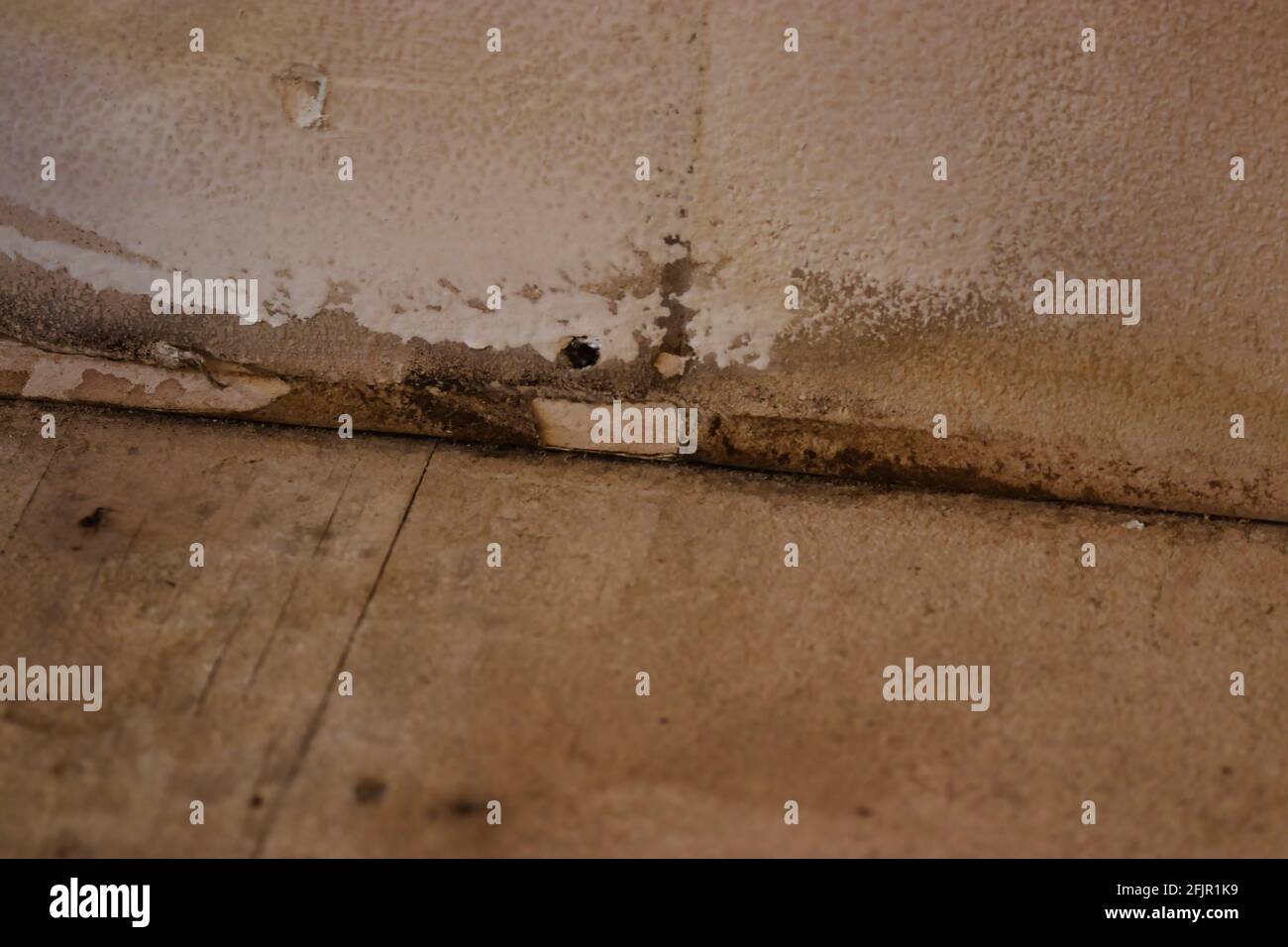 water damaged wall panneling and sub floor Stock Photo - Alamy