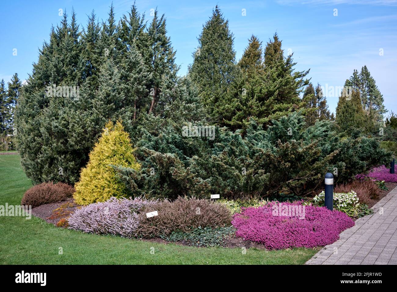 Colorful display of early spring flowers in Salaspils Botanic Garden ...