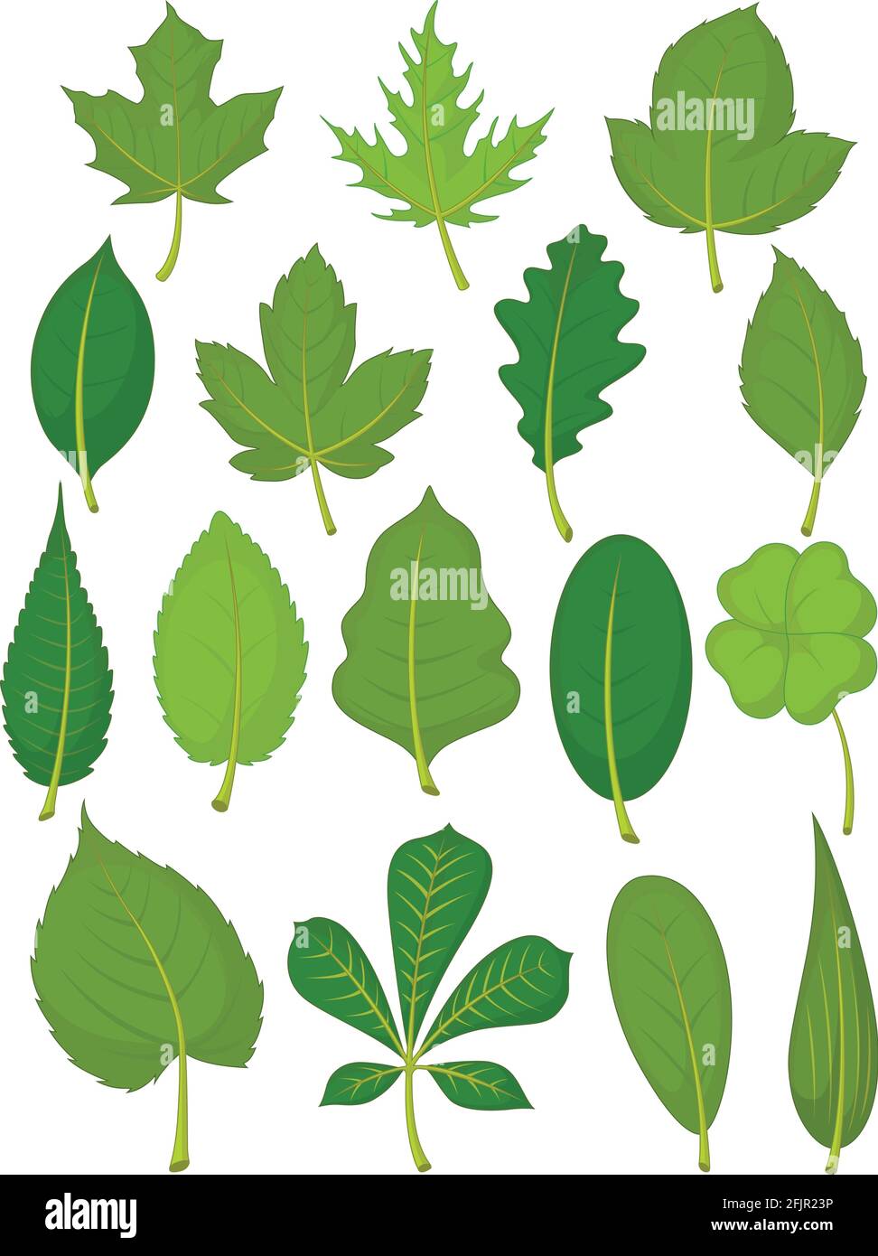 Green Leaves Spring Summer Organic Forest Foliage Cartoon Illustration ...