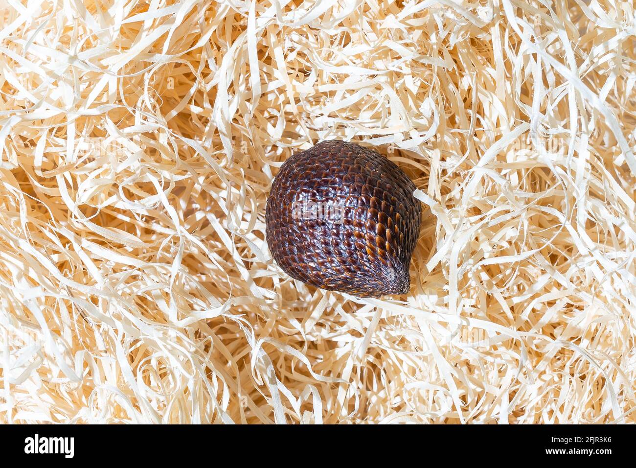Salak snake fruit on hay background and full depth of field Stock Photo ...