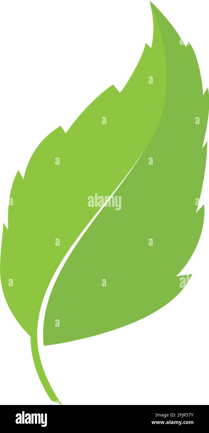 Leaf logo vector icon design template Stock Vector Image & Art - Alamy