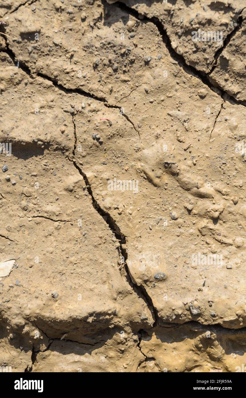 Dry soil, cracked muddy ground, dried mud with cracks, flat lay view ...