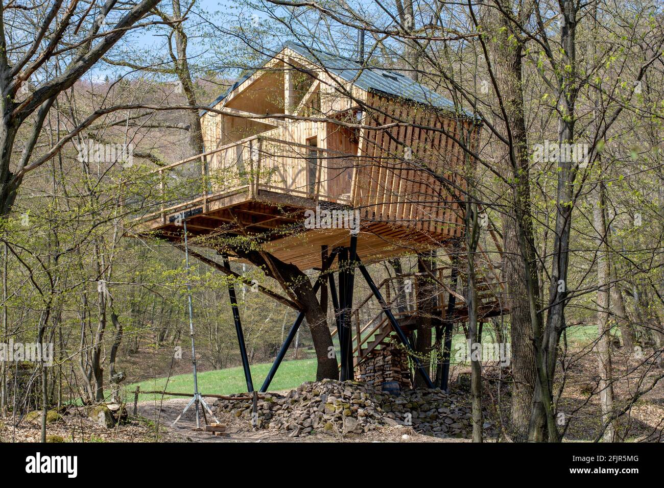Wooden tree house in the forest Stock Photo - Alamy