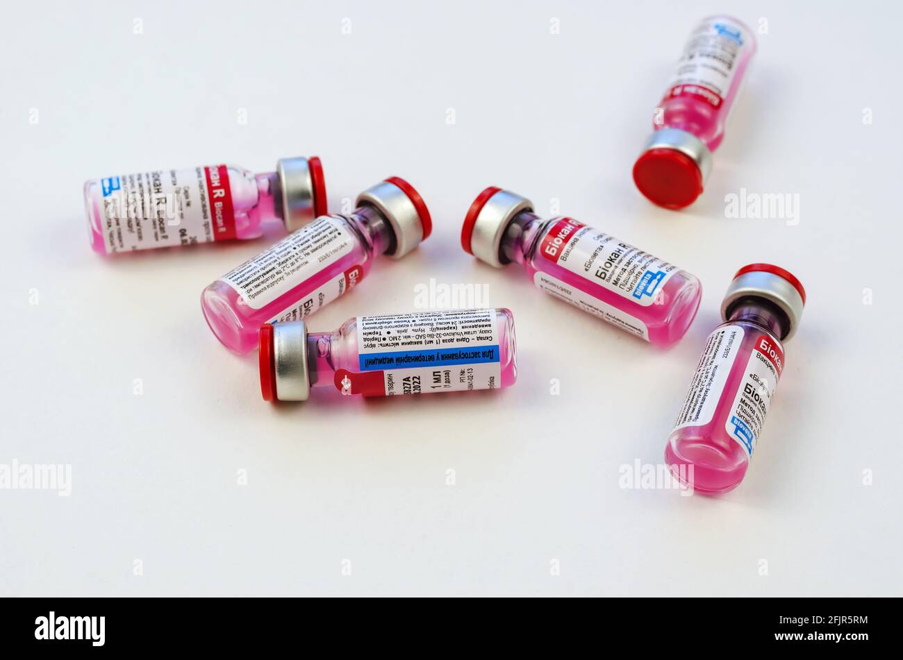 Animal rabies vaccine Biocan R from Bioveta is on white. Six new ...