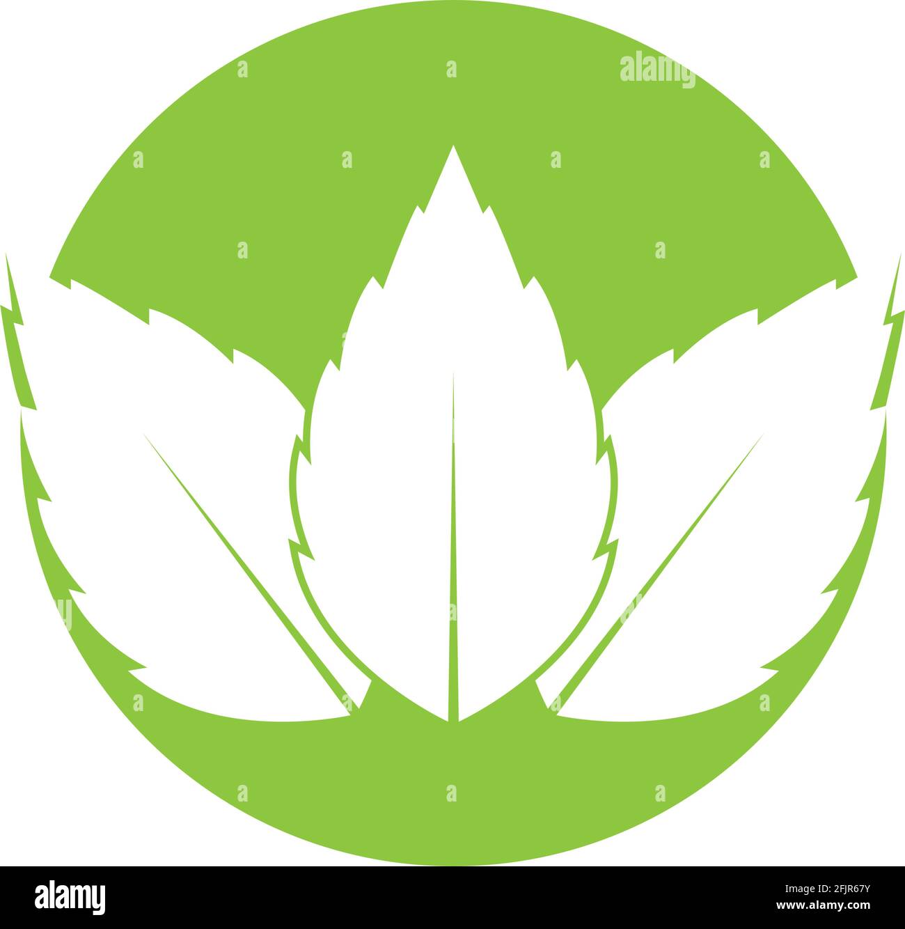 Leaf logo vector icon design template Stock Vector Image & Art - Alamy