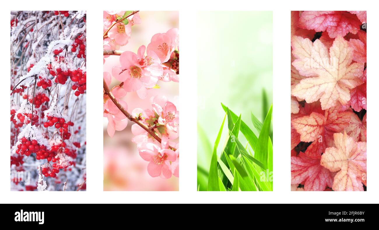 Four seasons of year. Set of vertical nature banners with winter ...