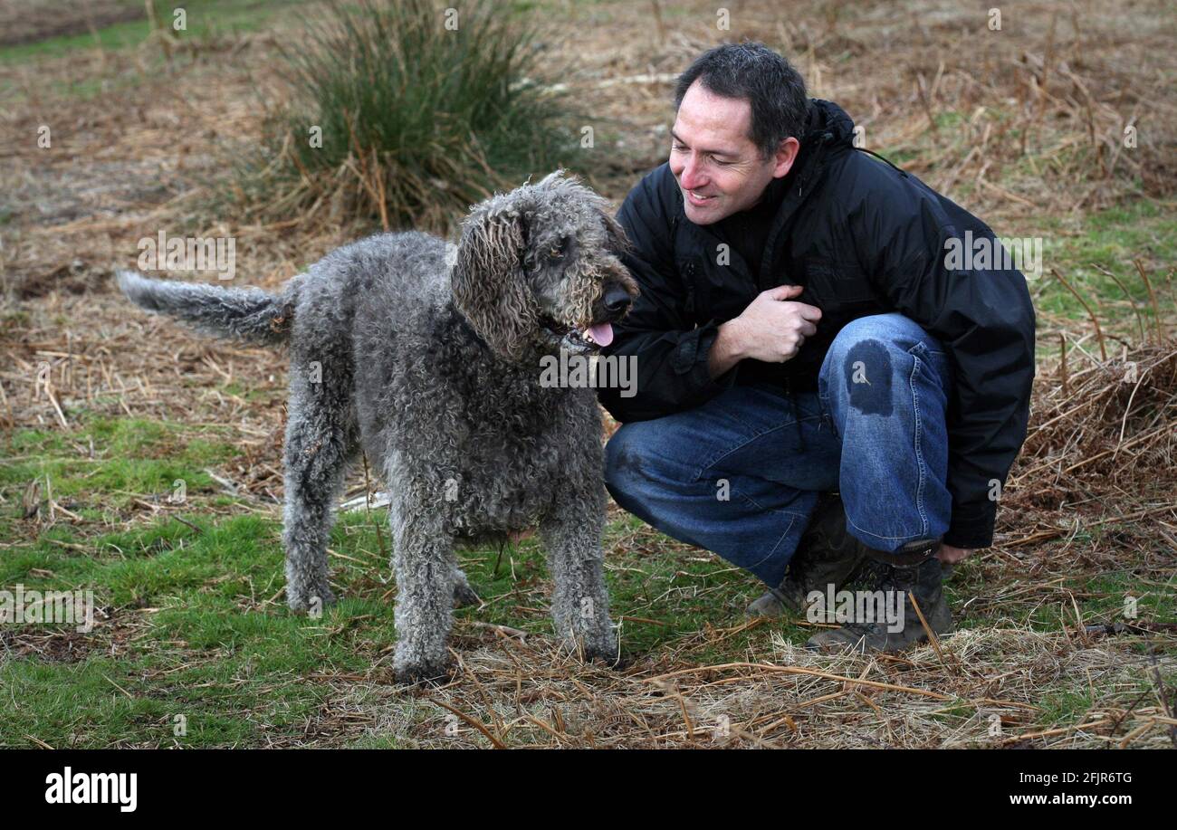 Labradoodle Dougal with his owner Mark Hayhurst.26 February 2007tom ...