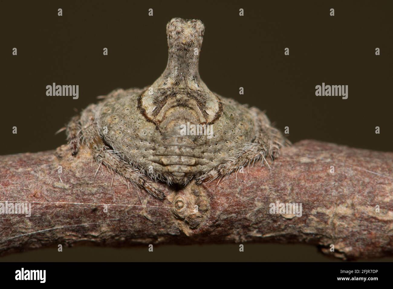 Wrap around hi-res stock photography and images - Alamy