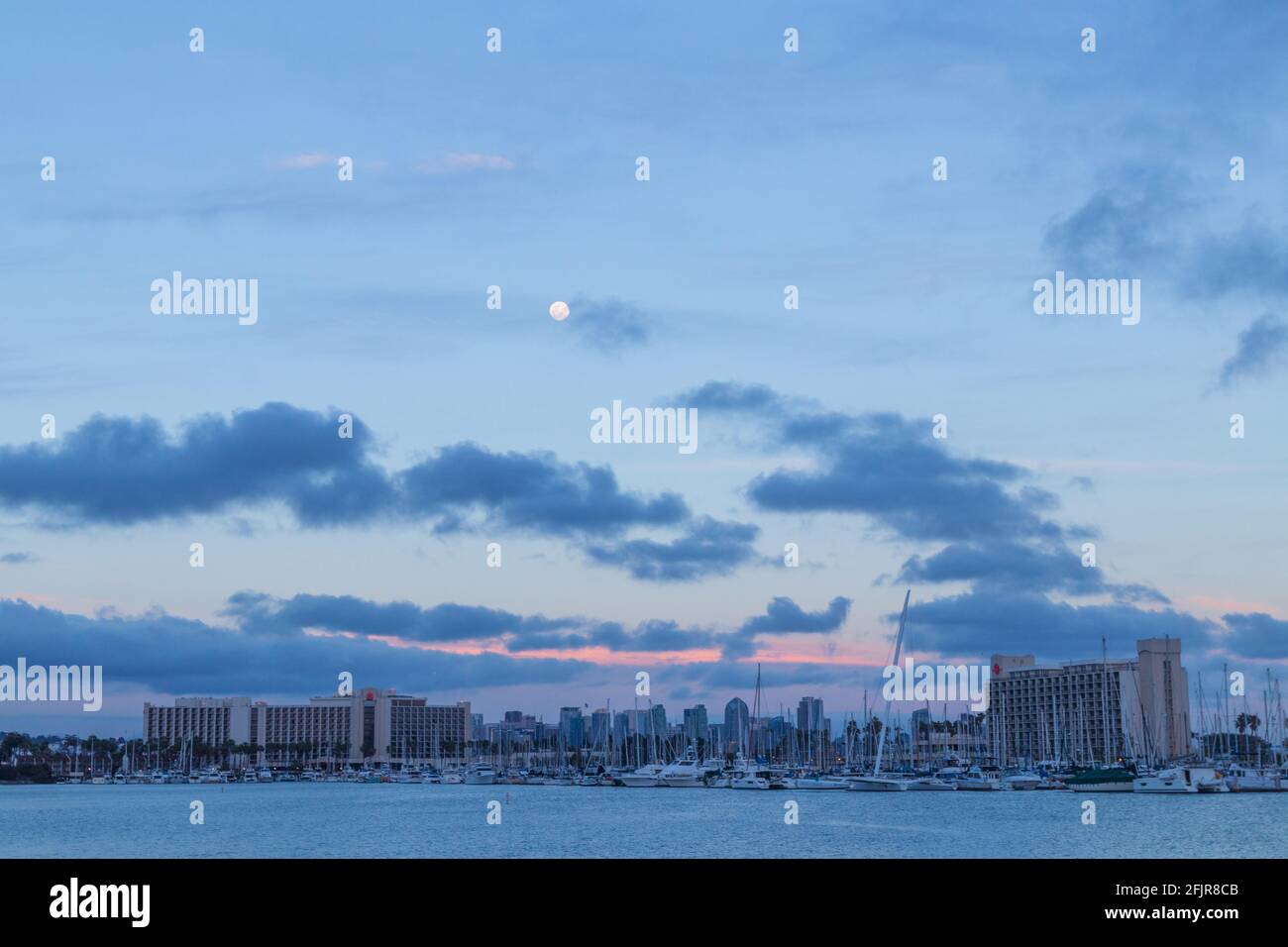 April 25, 2021: Purple jacaranda flowers, eucalyptus tree, full moon ...