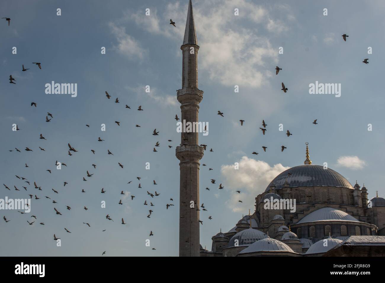 Pigeon flying around the mosque minarets Stock Photo - Alamy