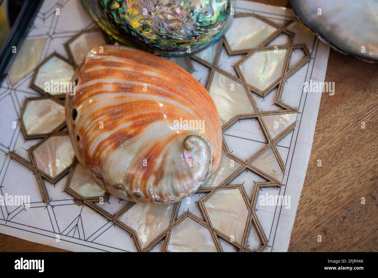 the pearl shell as a sea shell object in view Stock Photo - Alamy
