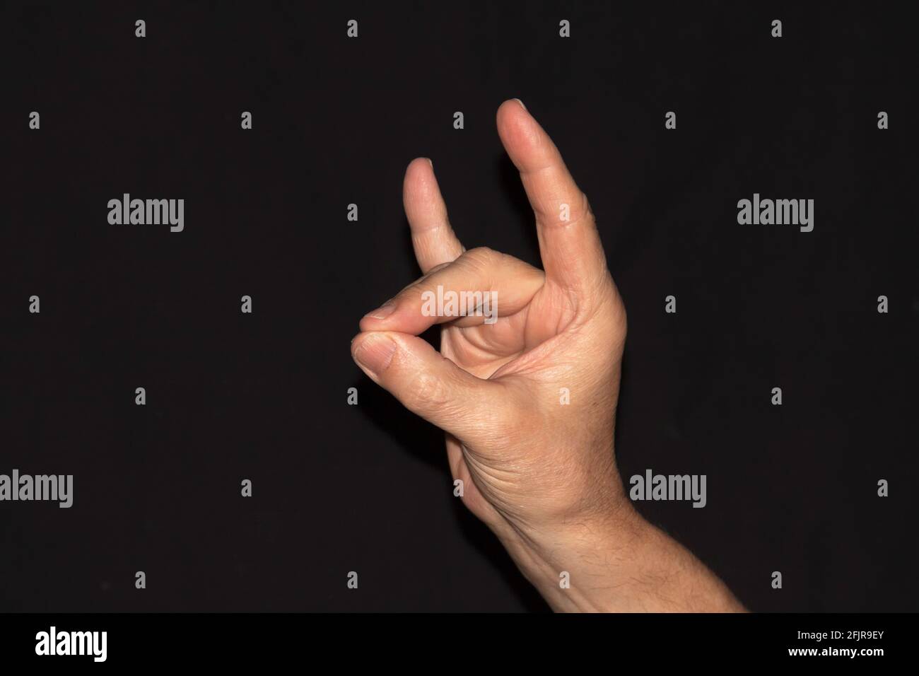 Arabian wolves hi-res stock photography and images - Alamy