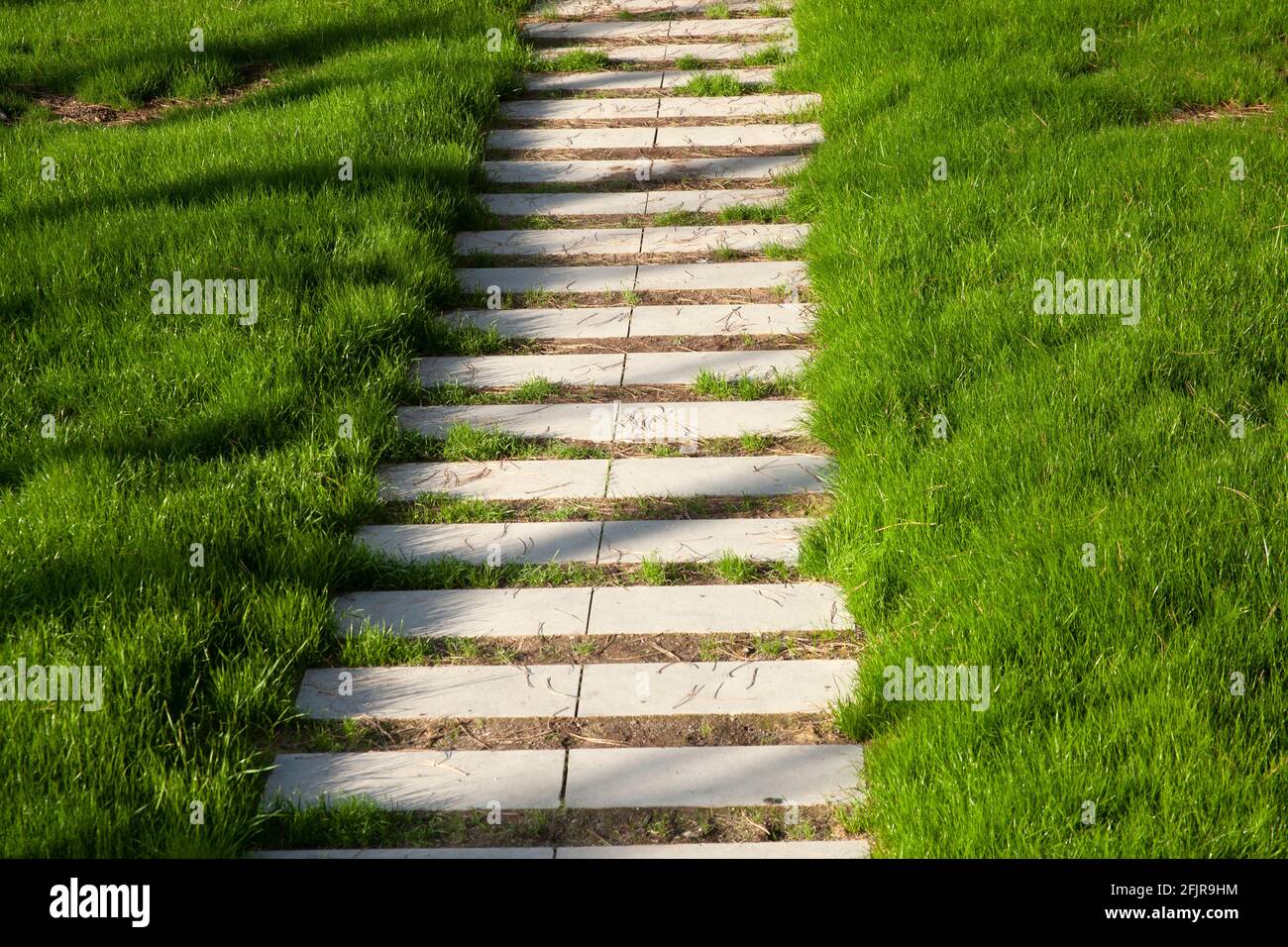 green grass and stone stairs Stock Photo - Alamy