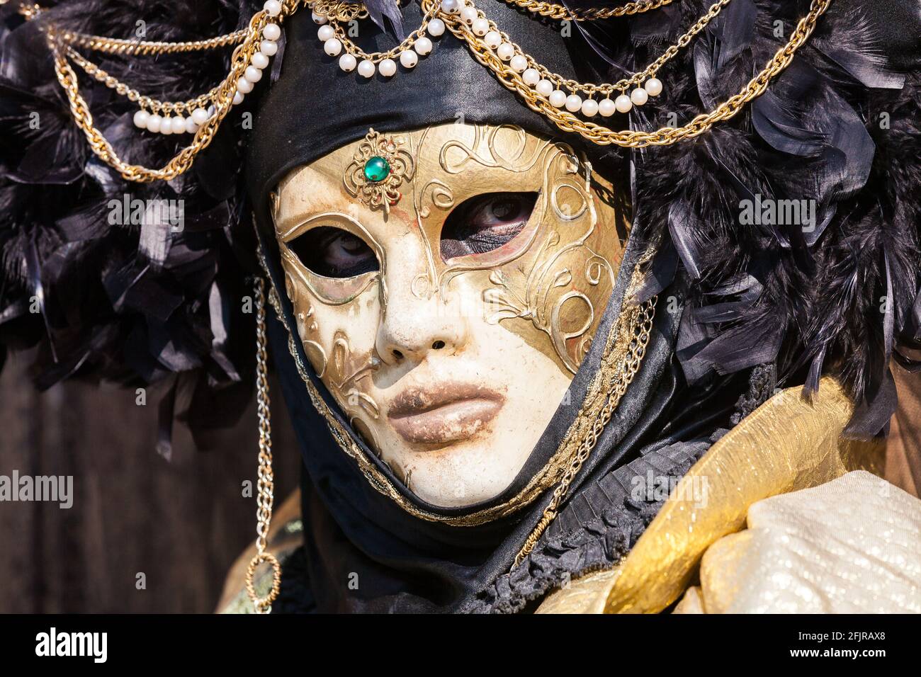 Black And Gold Venetian Mask