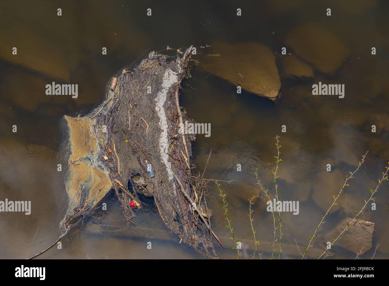 Save water pollution hi-res stock photography and images - Alamy