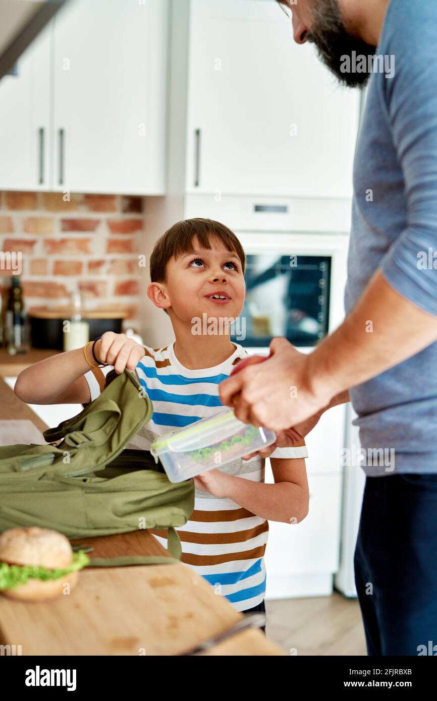 Father and son packing healthy food lunch boxes for school Stock Photo ...