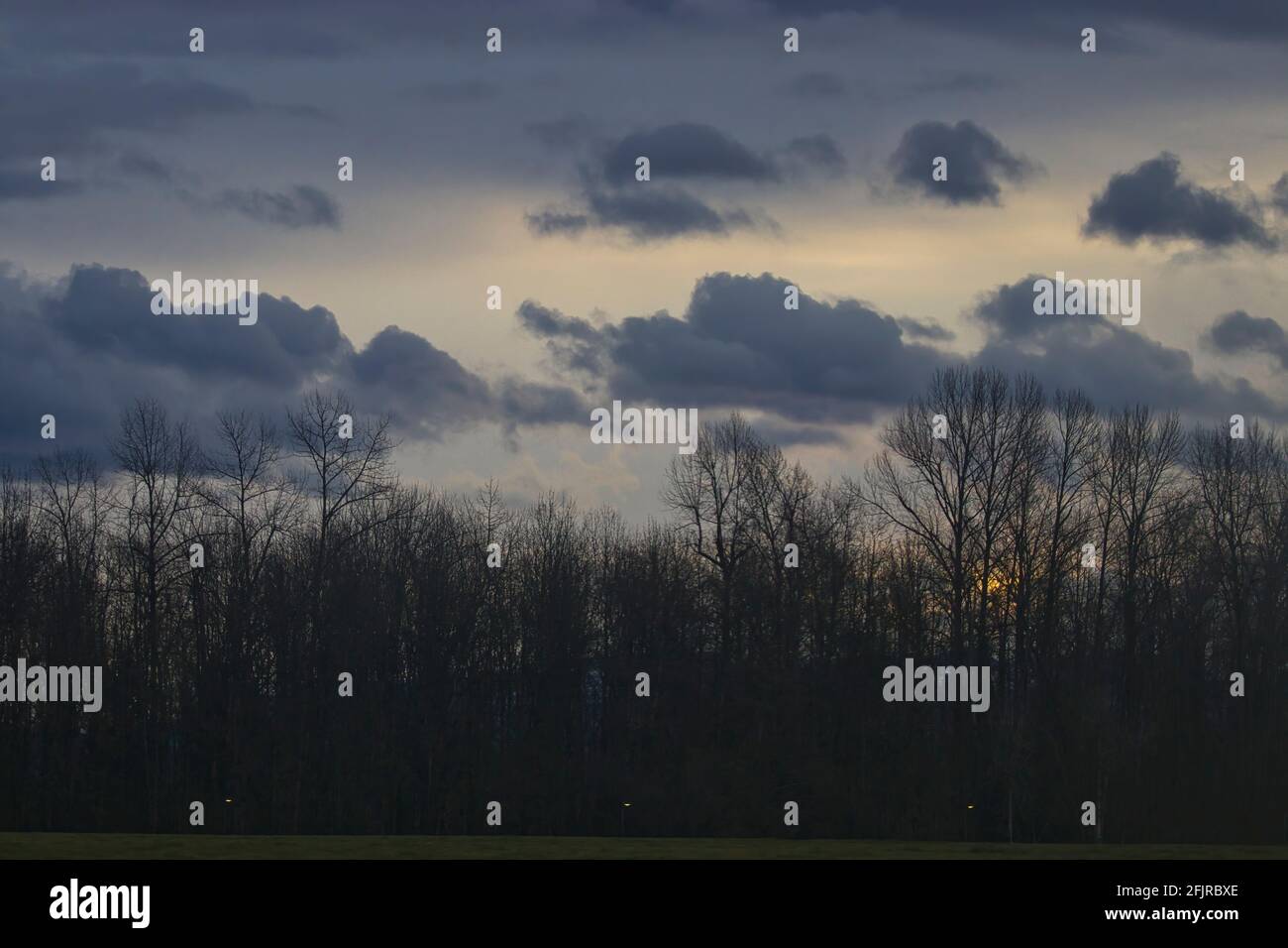 early morning sunrise through trees with sunbeams Stock Photo - Alamy