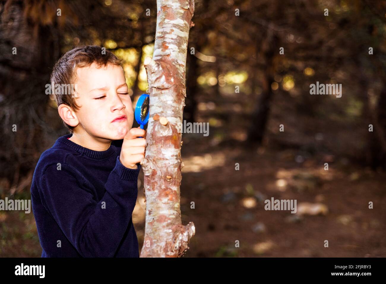 Child closely observes the trunk of a sick tree with a magnifying glass ...