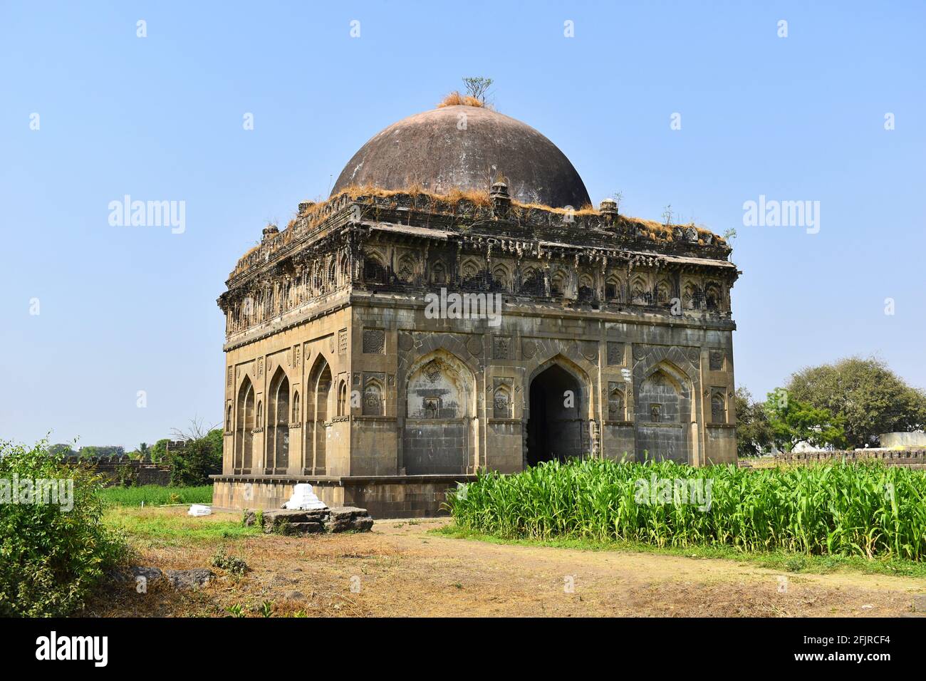 Elephant ahmed hi-res stock photography and images - Alamy