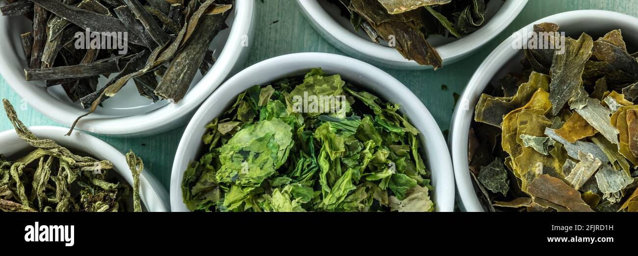 Sea vegetables panorama. Edible sea weed Stock Photo - Alamy