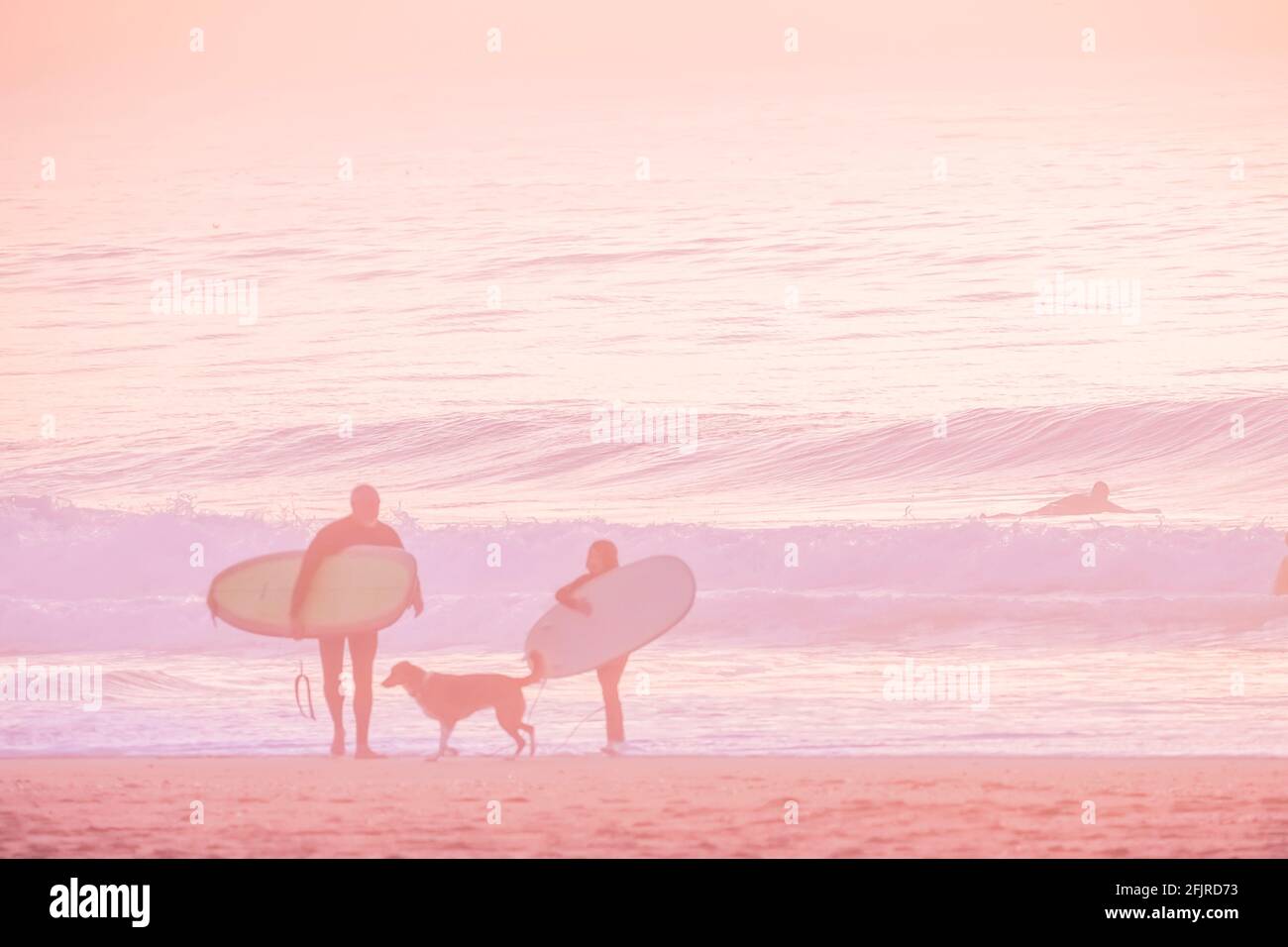 Pink Ocean Landscape in Sunset Time Background with Sandy Beach and ...