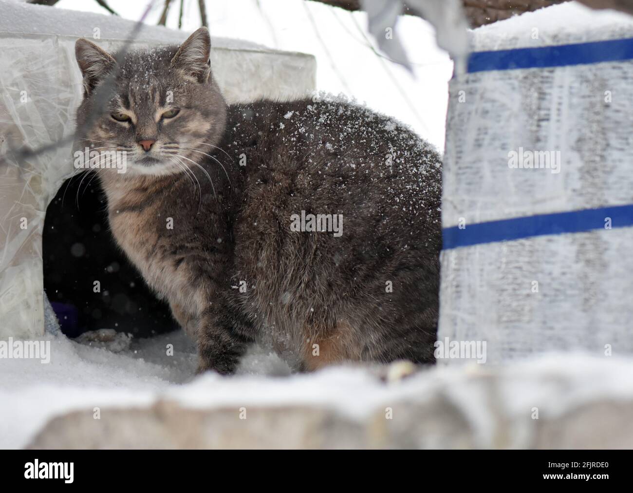 Red rocks under snow in hi-res stock photography and images - Alamy