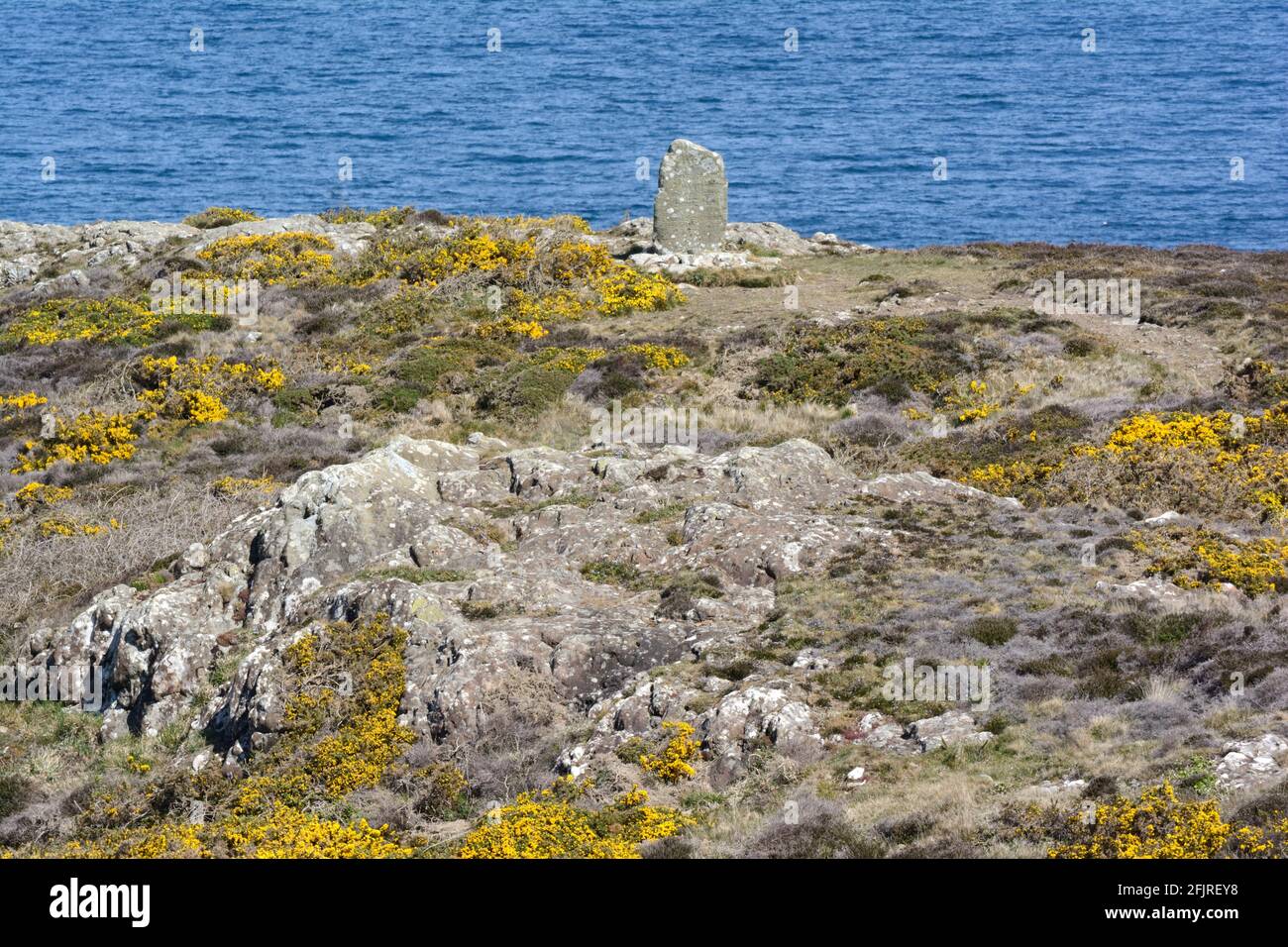 Memorial stone on Carreg Wastad Point commemorating the last invasion ...
