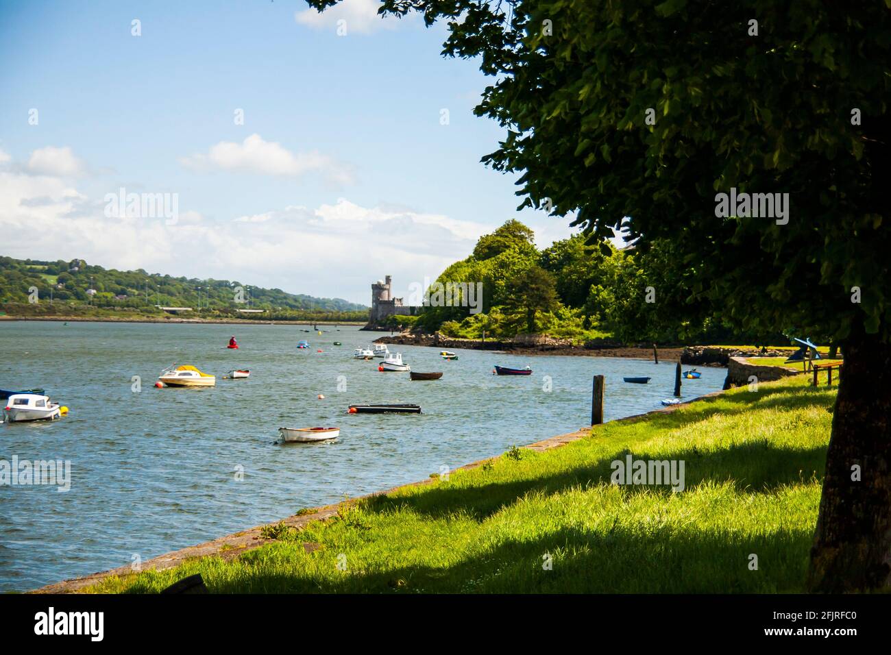 West cork flora hi-res stock photography and images - Alamy