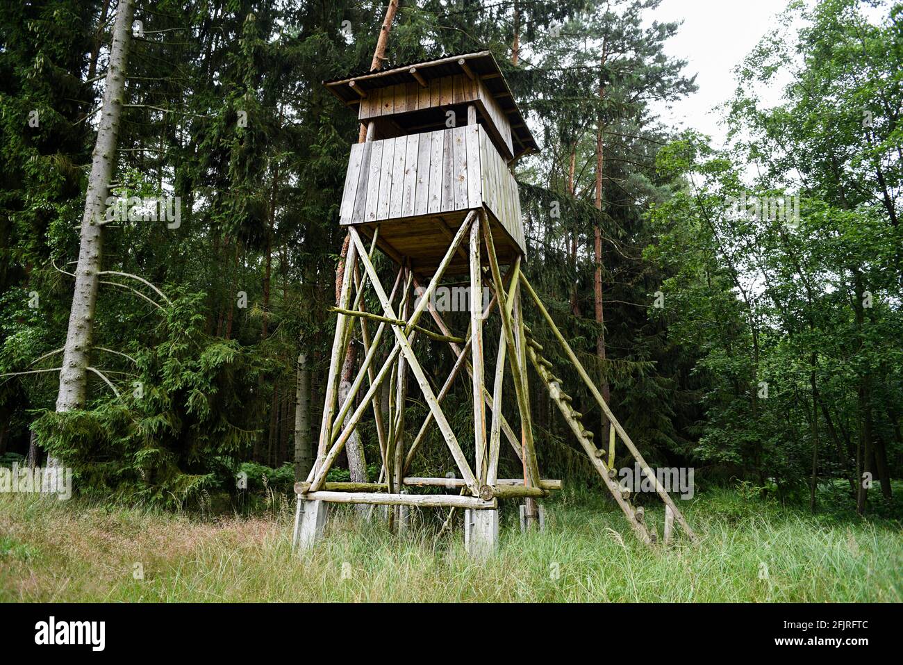 A shooting and observation tower for hunting in the forest Stock Photo ...
