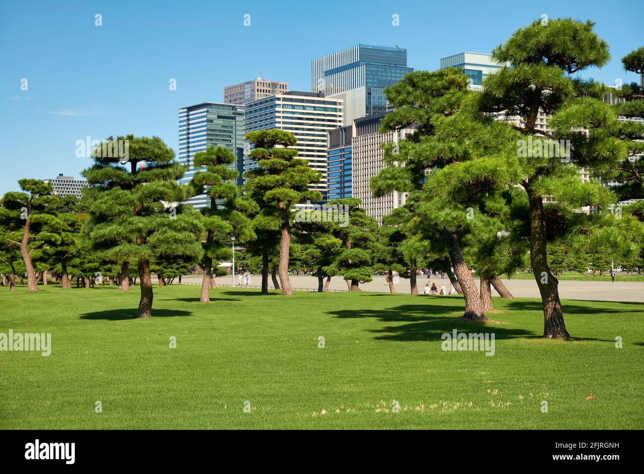 Tokyo square garden building hi-res stock photography and images - Alamy