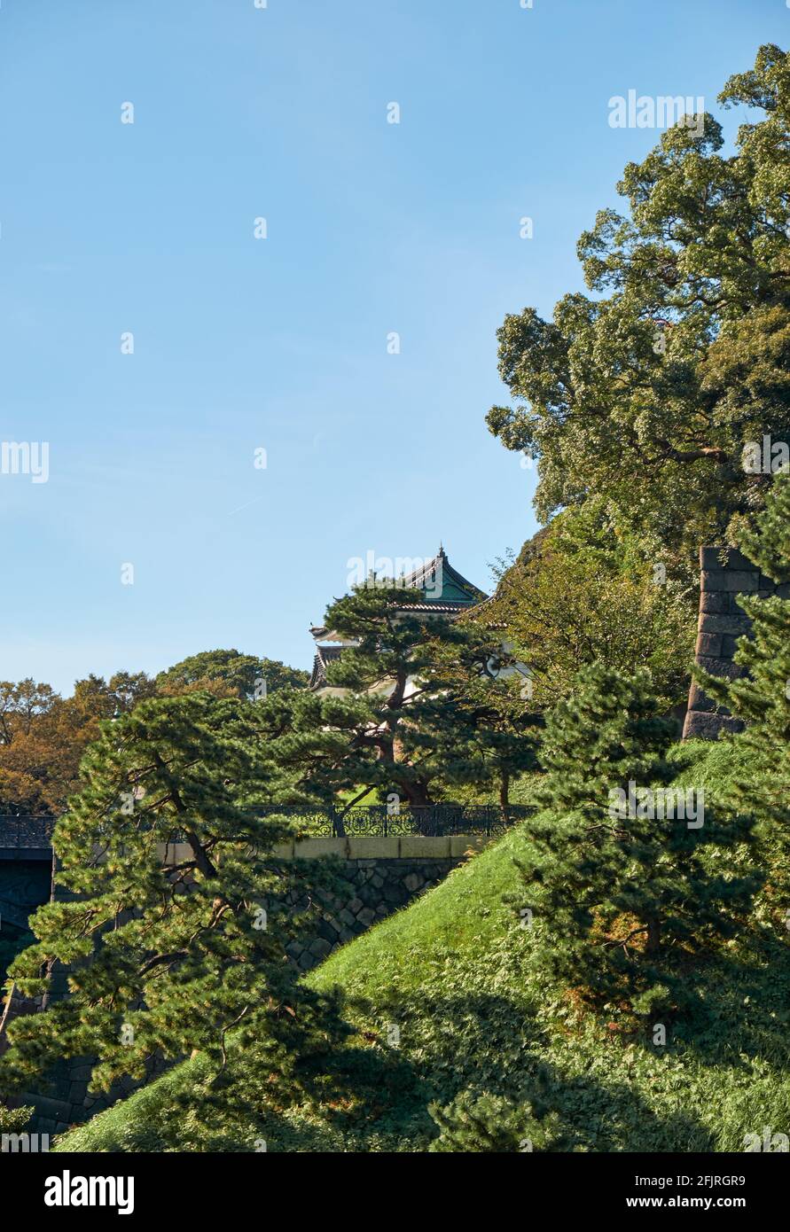 The view of thick greenery around the Edo castle wall with the ...