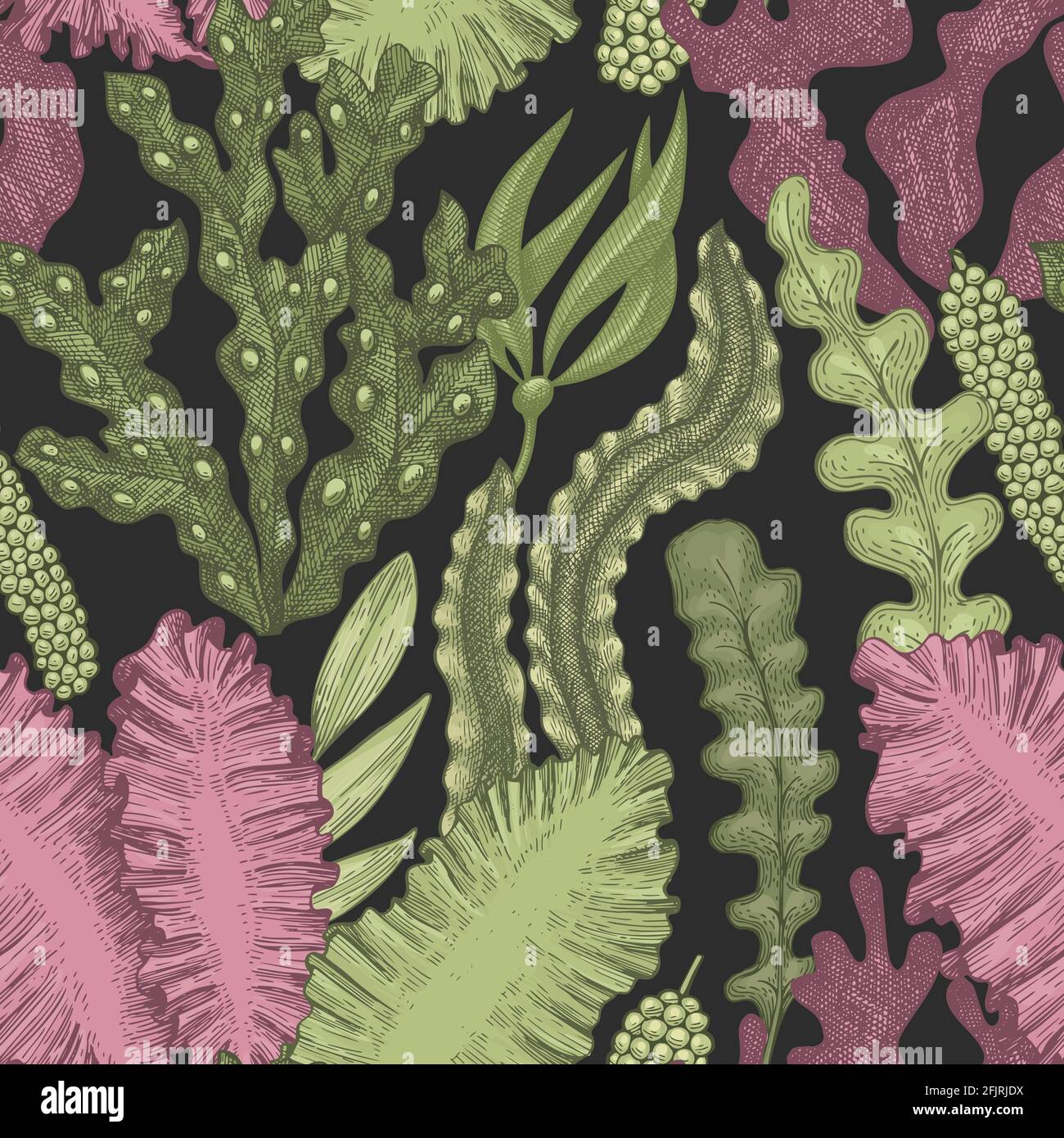 Seaweed seamless pattern. Hand drawn vector seaweeds color illustration ...