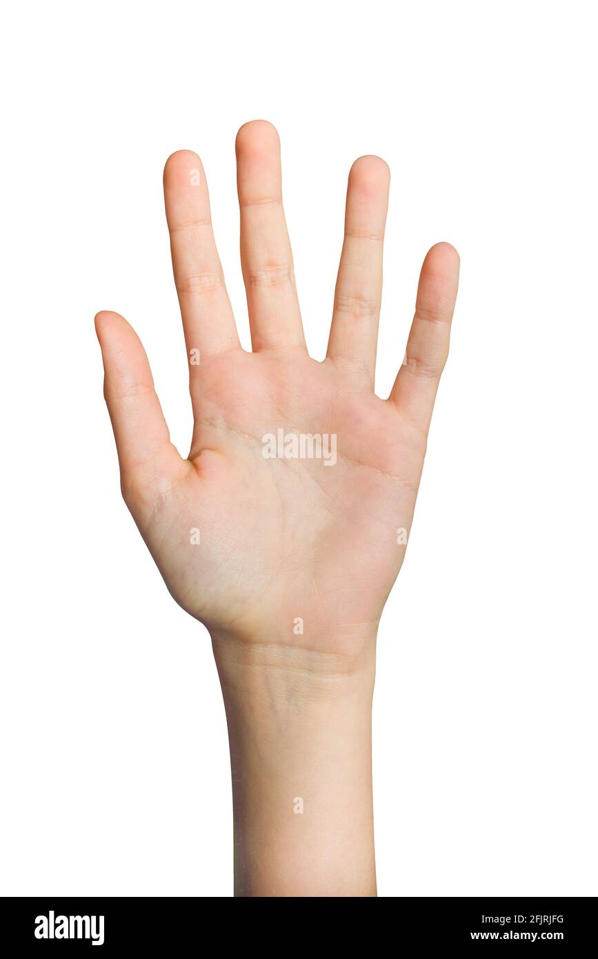 Hand up isolated on white background Stock Photo - Alamy