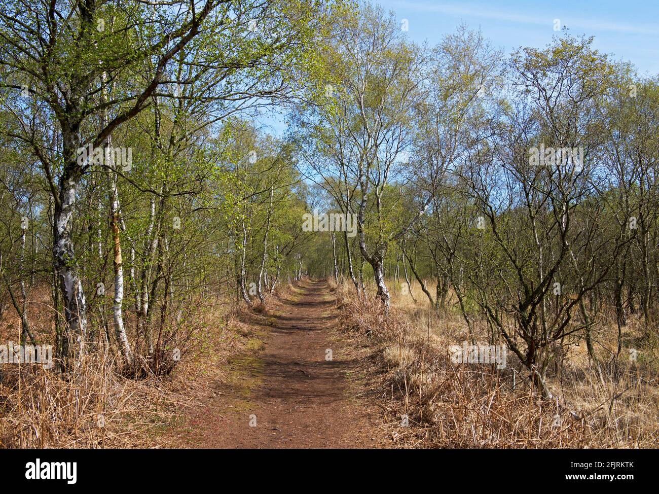 Crowle moors hi-res stock photography and images - Alamy