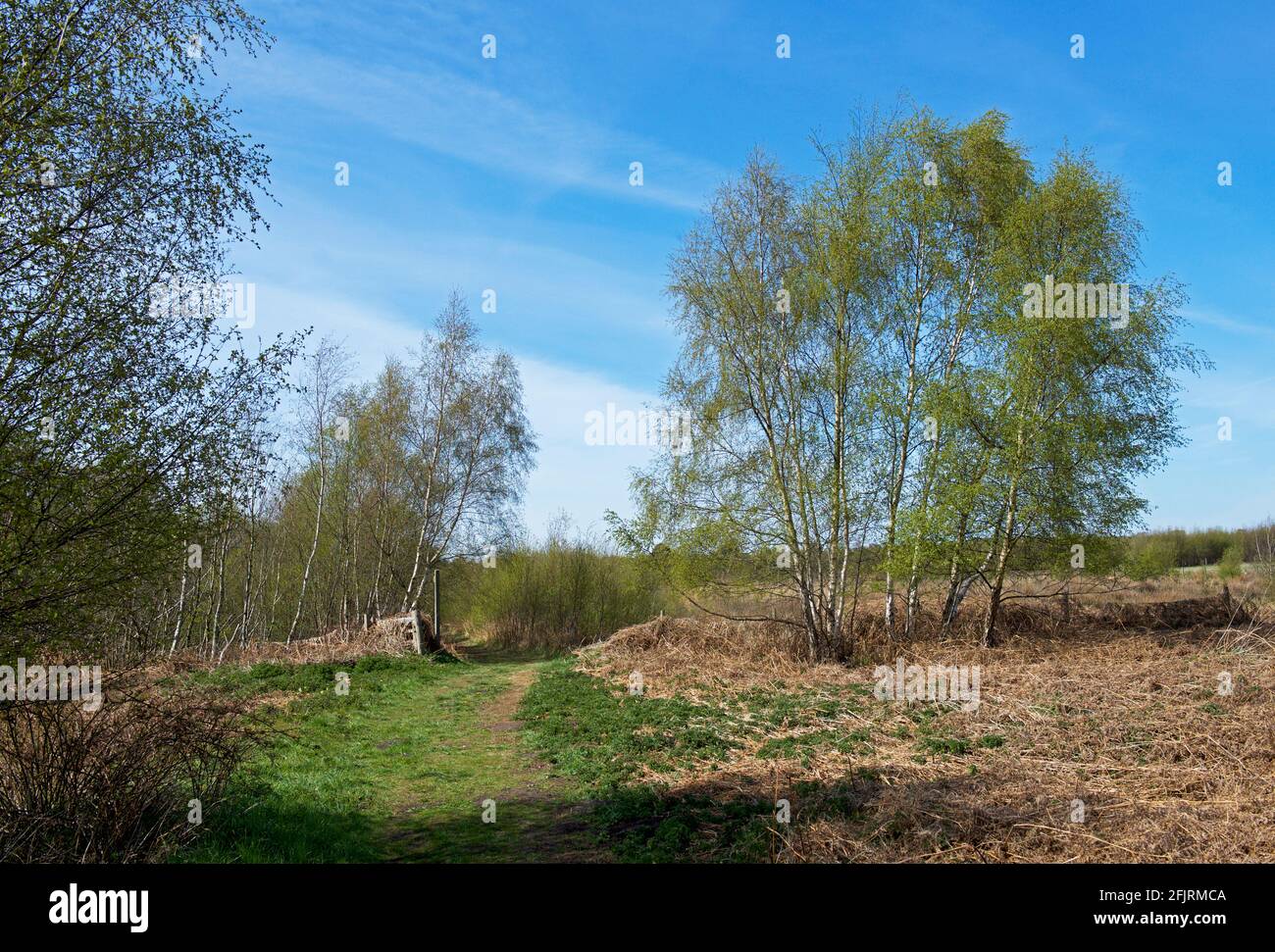 Crowle Moors High Resolution Stock Photography and Images - Alamy