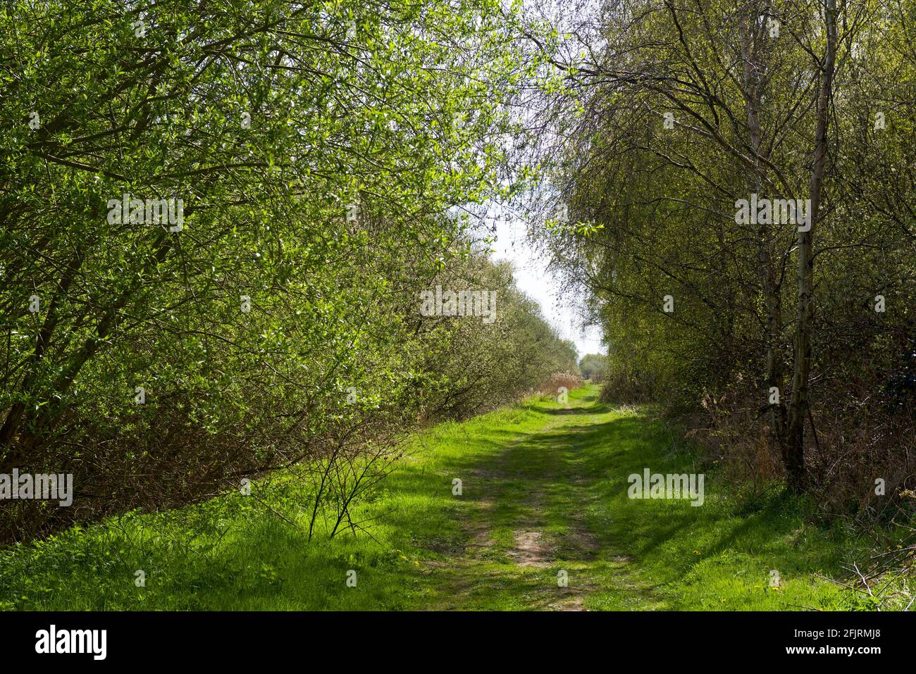 Crowle hi-res stock photography and images - Alamy