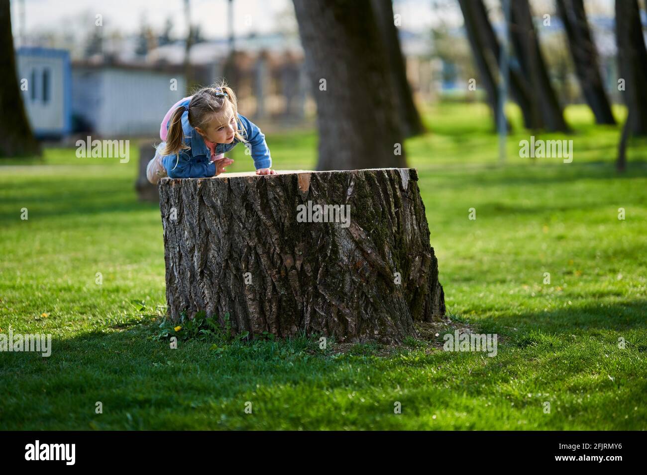 Adorable little girl sitting on a big stump in the park Stock Photo - Alamy